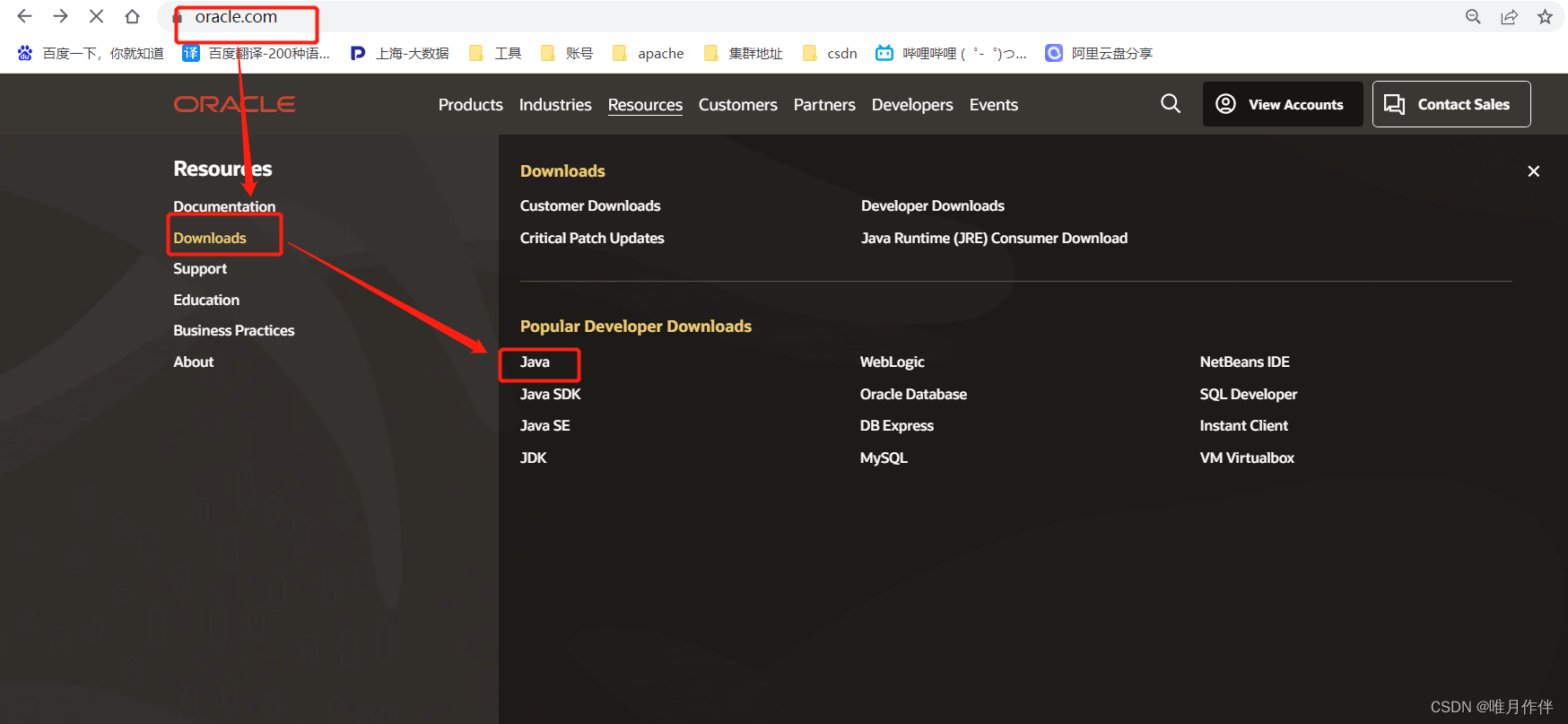 官网下载java并安装_java官网下载安装-CSDN博客
