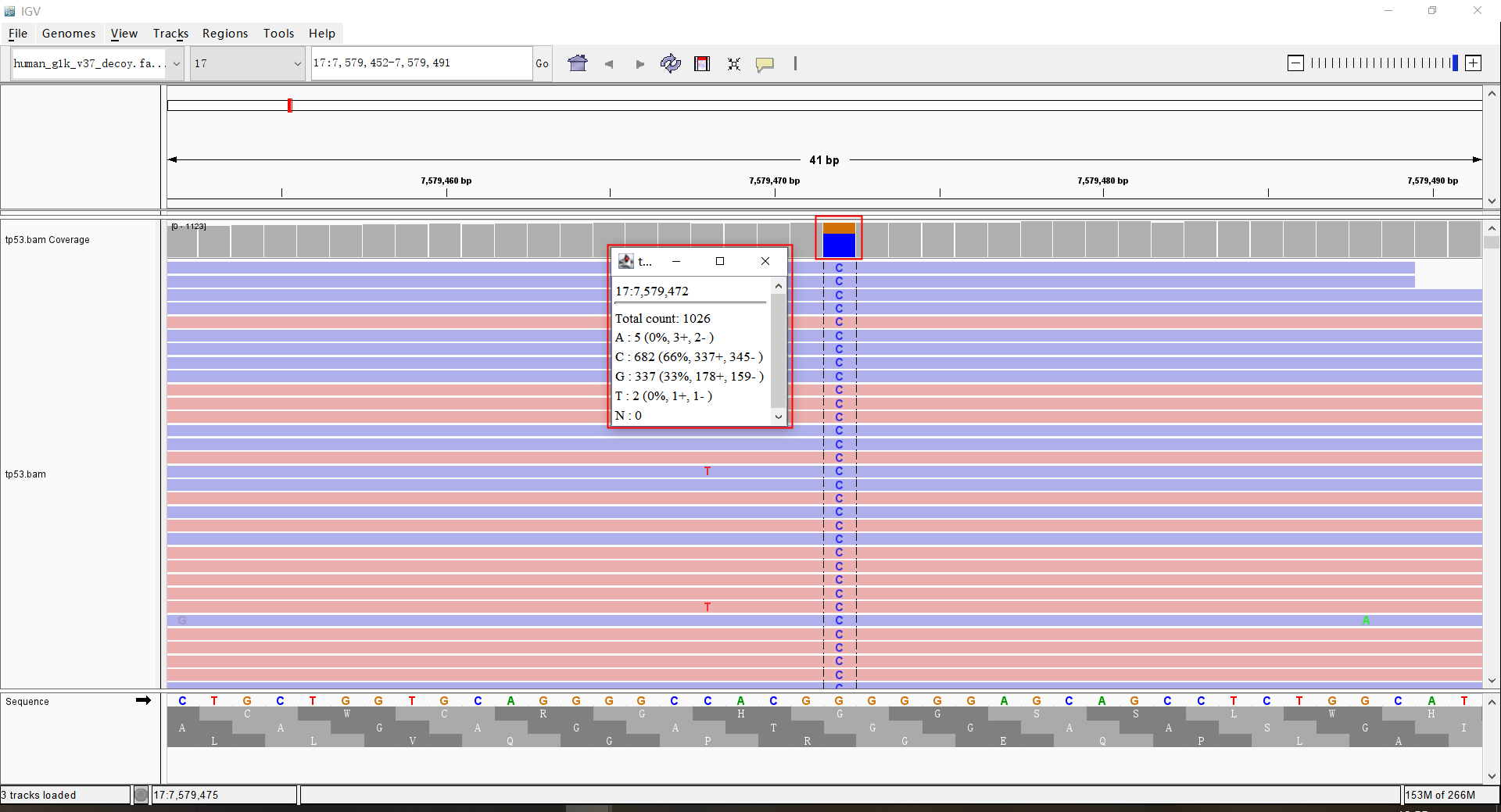 IGV变异可视化设置要点_igv可视化图怎么看-CSDN博客
