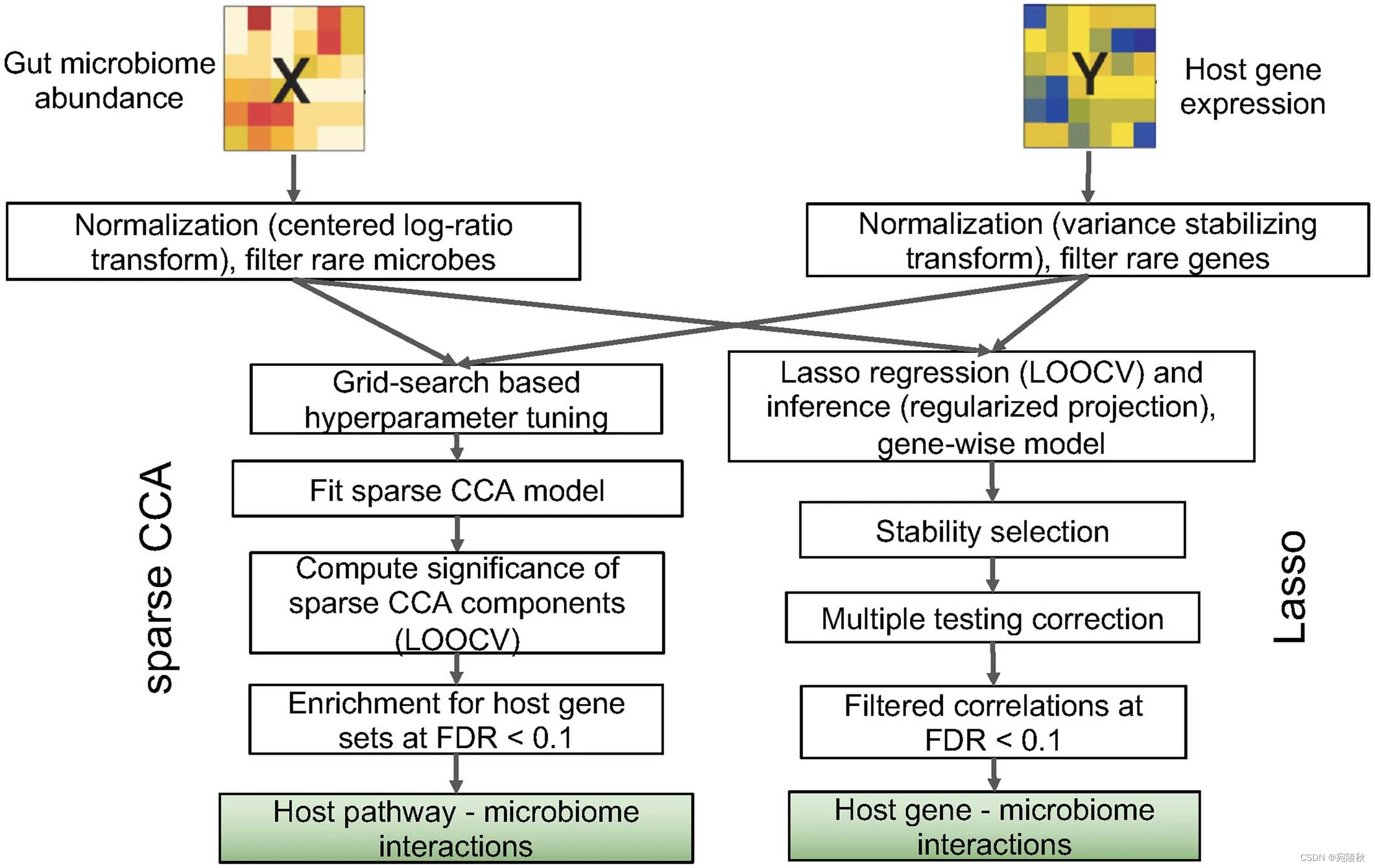 利用多组学整合鉴定人类疾病共享的和疾病特异性的宿主基因-微生物组关联_sparse cca-CSDN博客