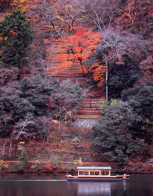 Inpaint-Anything_inpaint anything模型下载-CSDN博客