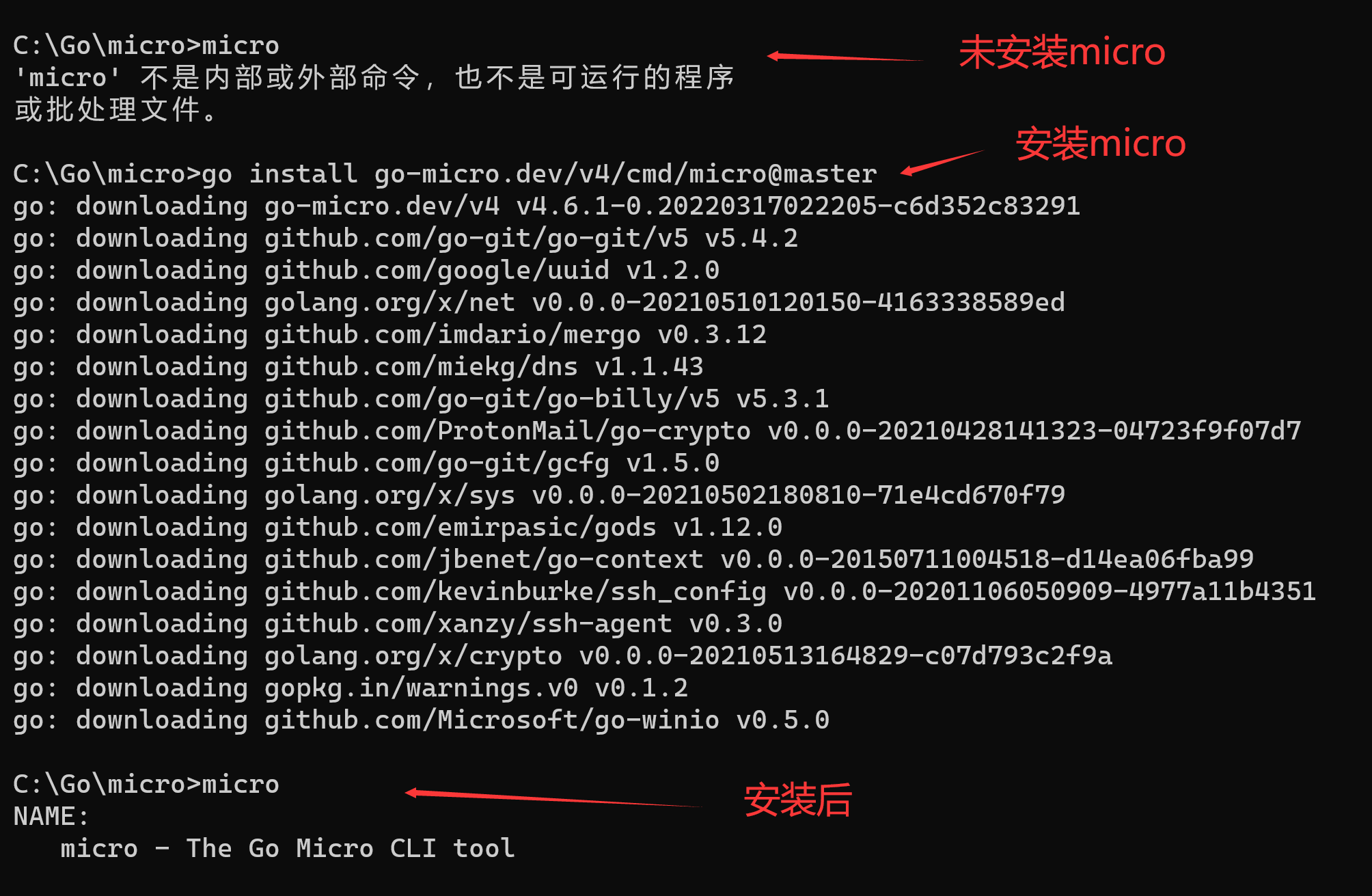 GO Micro Service - GO-Micro V4 Installation - Programmer Sought