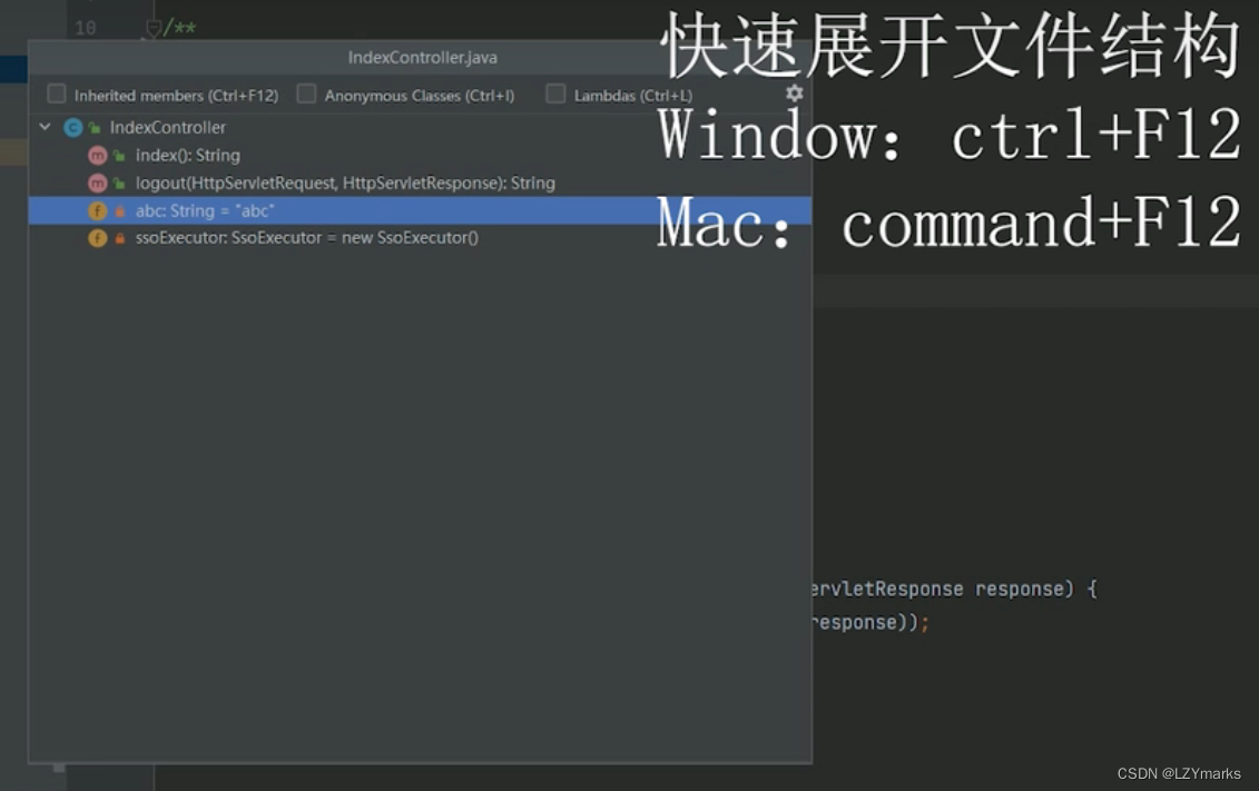 Idea无意拖出一个窗口，教你如何复位 （idea 所有侧边栏（maven，database，ant，project，terminalbuild等）消失的问题） 编程库 3623