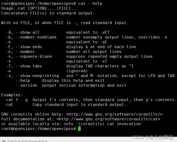 Ubuntu常用命令[2]——ping,vi/vim,cat,chmod,cp_ubuntu ping命令-CSDN博客