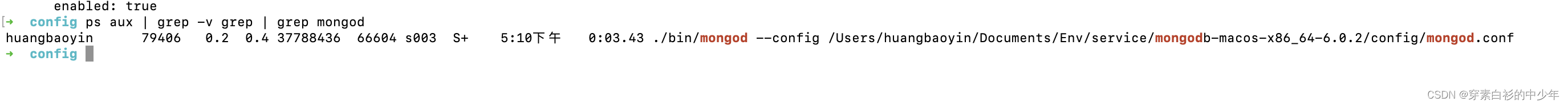 NoSQL - MongoDB及工具 - 安装_nosql安装教程-CSDN博客