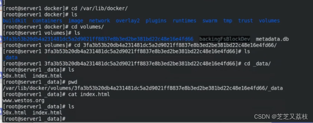 Docker镜像的分层结构、Dockerfile的编写及镜像封装优化_dockerfile分层打包-CSDN博客
