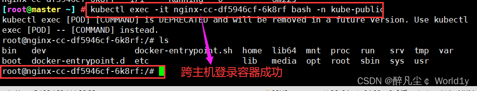 K8S 中 kubectl 命令_kubectl exec -it-CSDN博客
