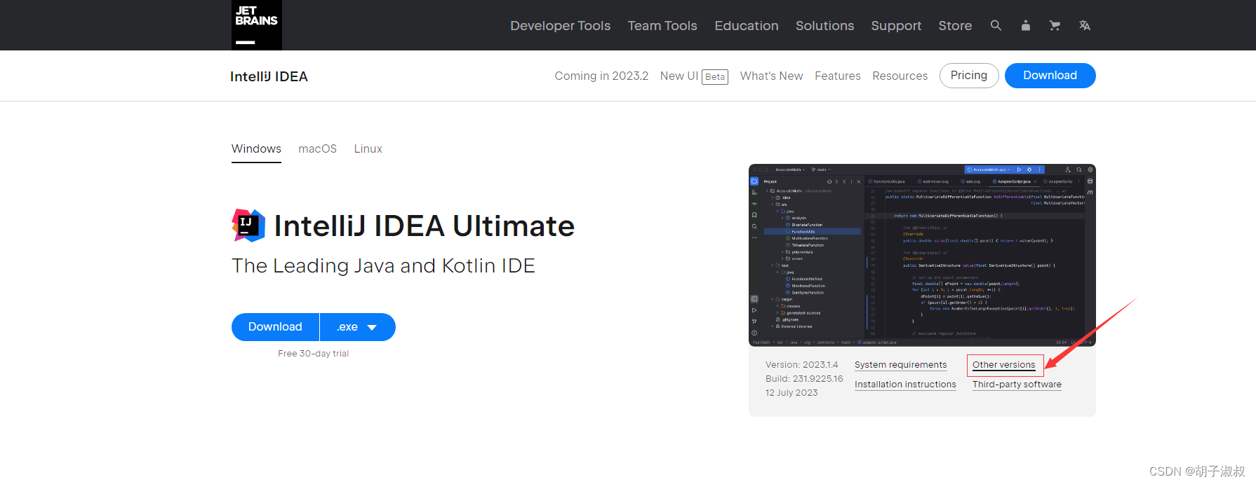 【IntelliJ IDEA +selenium自动化测试环境搭建】_idea配置selenium-CSDN博客