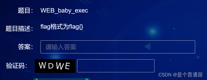 WEB_baby_exec_web2 baby-CSDN博客