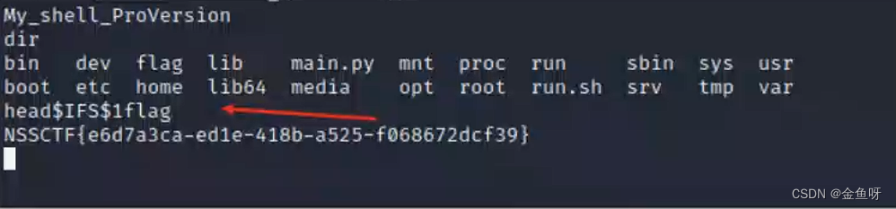 [SWPUCTF 2021 新生赛]nc签到-CSDN博客