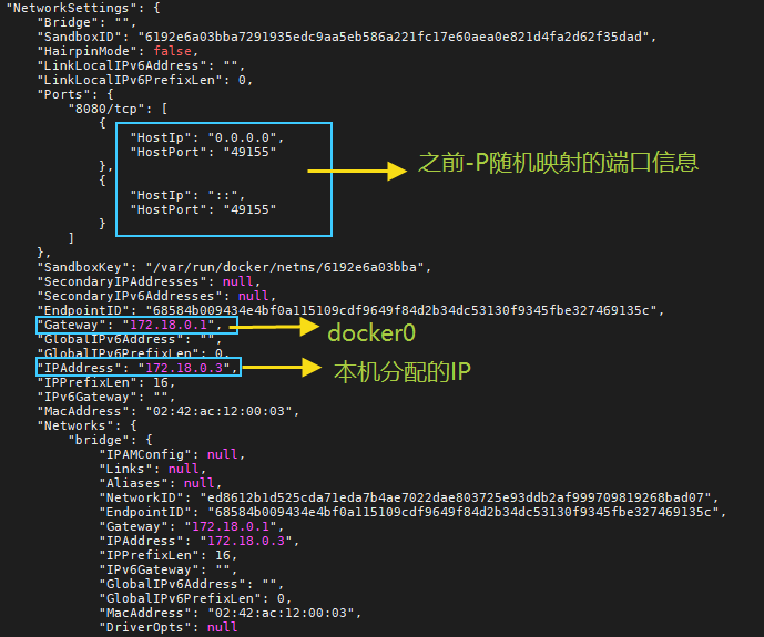 Docker13_1：Docker网络Docker0_docker0的metric为0 eth0为100-CSDN博客