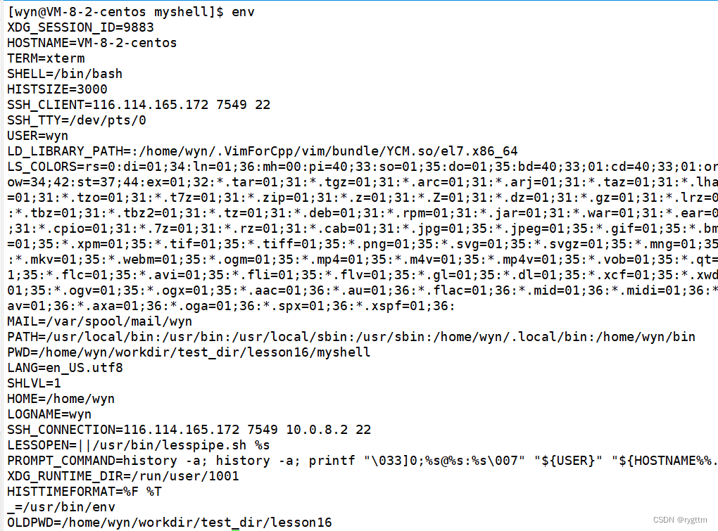 【linux】linux环境变量的理解 命令行参数、shell子进程、环境变量、本地变量shell Path环境变量的意义 Csdn博客