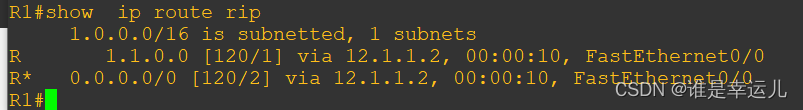 15.RIP1、RIP2路由实验_实验报告 分别针对ripv1和ripv2,回答下面的问题: 1、验证rip协议的版本、使用的传-CSDN博客