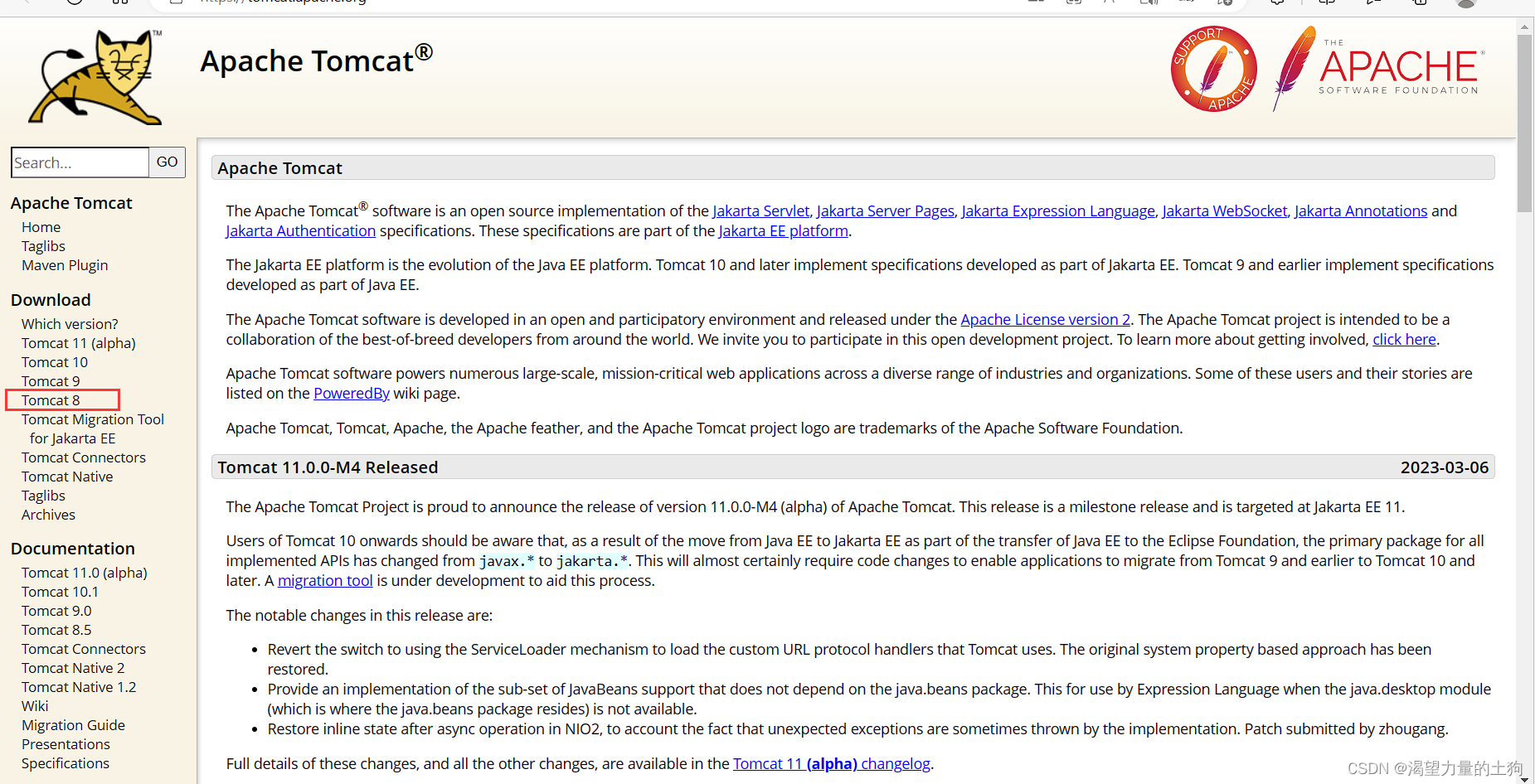 Tomcat的下载使用及网页部署_下载tomcat并本地部署-CSDN博客