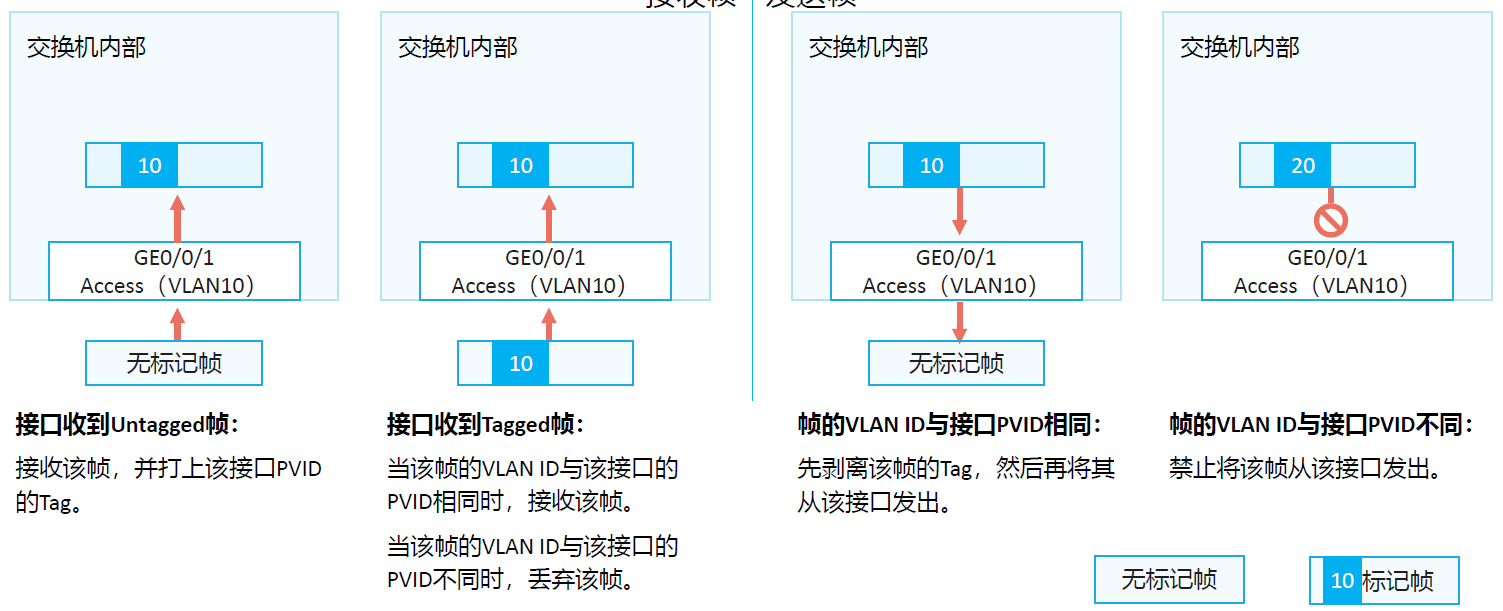 2021-12-15 网工基础（十一） VLAN的基本原理、接口类型、Access、Trunk_vlan access trunk-CSDN博客