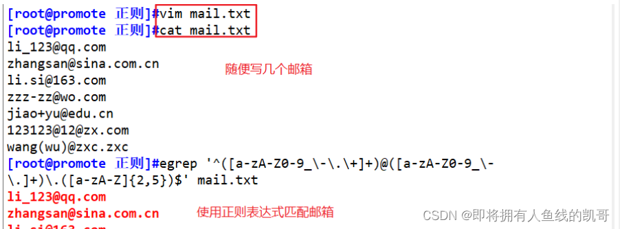 shell脚本之正则表达式（加sort、uniq和tr）_shell脚本里实现tr -d-CSDN博客