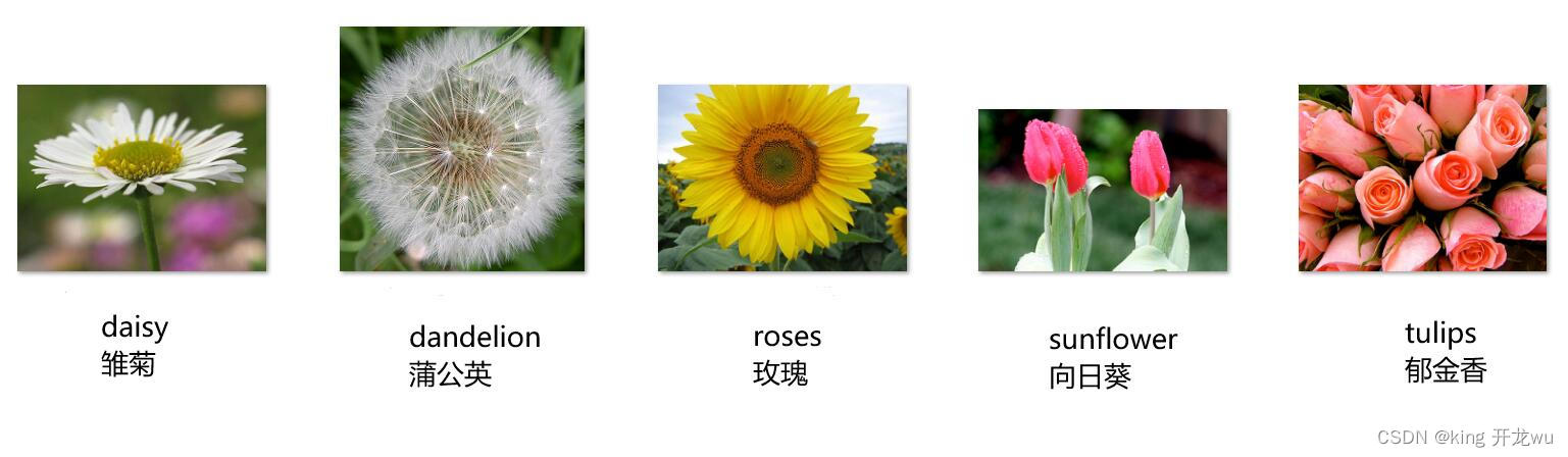 深度学习pytorch实战二：AlexNet图像分类篇且官网提供花数据集分五类_深度学习植物幼苗 pytorch-CSDN博客