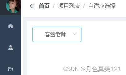 vue2&ElementUi实现select选择器自适应宽度_element select 最小宽度-CSDN博客