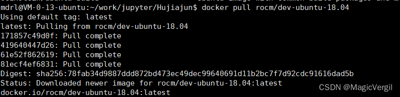 在linux服务器上部署jupyterlab并运行项目_服务器配置jupyterlab 启动多个服务-CSDN博客