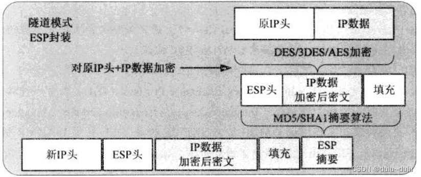 MPLS vpn和IPSEC vpn_mpls ipsec-CSDN博客