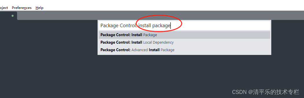 Sublime Text设置代码提示_sublimetext ts类型提示-CSDN博客