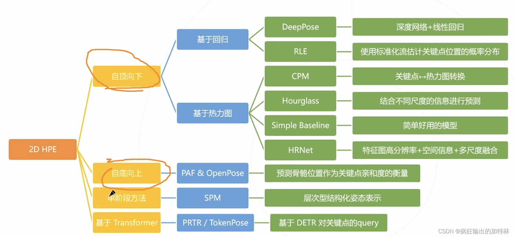 OpenMMLab AI实战营第二期｜人体关键点检测与MMPose学习笔记_smpl 人体关键点-CSDN博客