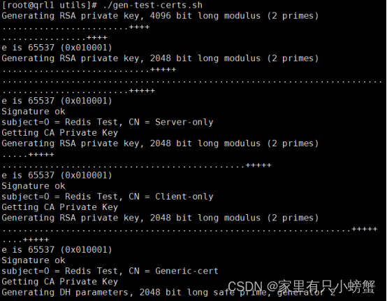 Redis部署全攻略——SSL/TLS配置_redis tls-CSDN博客