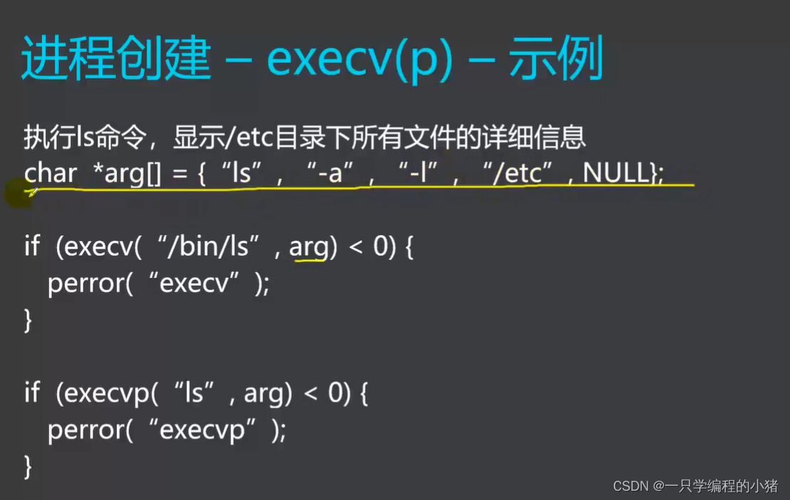 Level 5 Day2创建子进程并用exec族函数 Csdn博客 