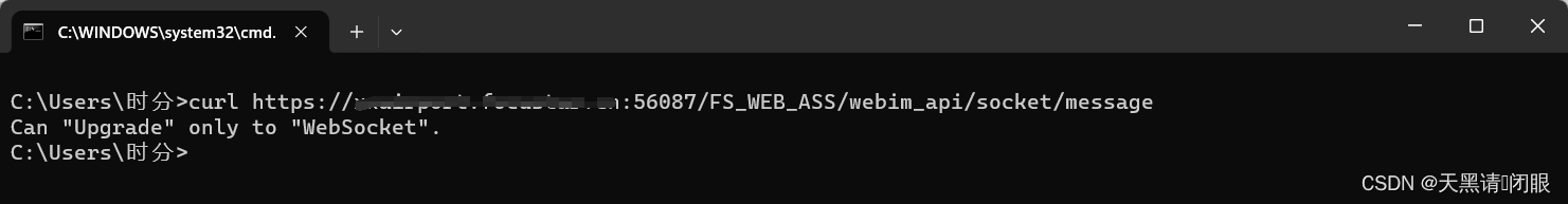 Nginx代理websocket无法链接到服务,服务端报错:handshake Failed Due To Invalid Upgrade