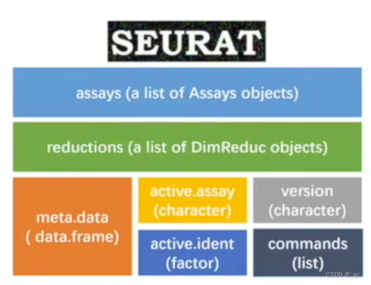 单细胞测序实践_将active.ident的值-CSDN博客