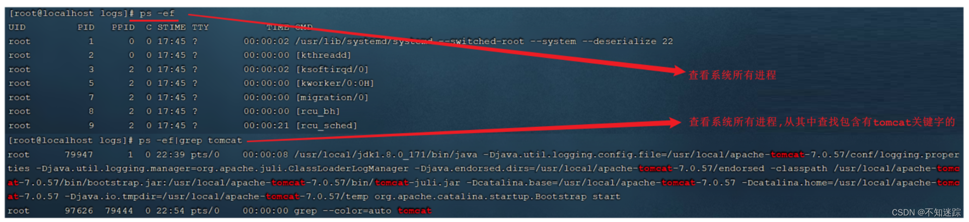 Linux常用命令操作及springboot项目的部署_纯命令行部署springboot-CSDN博客