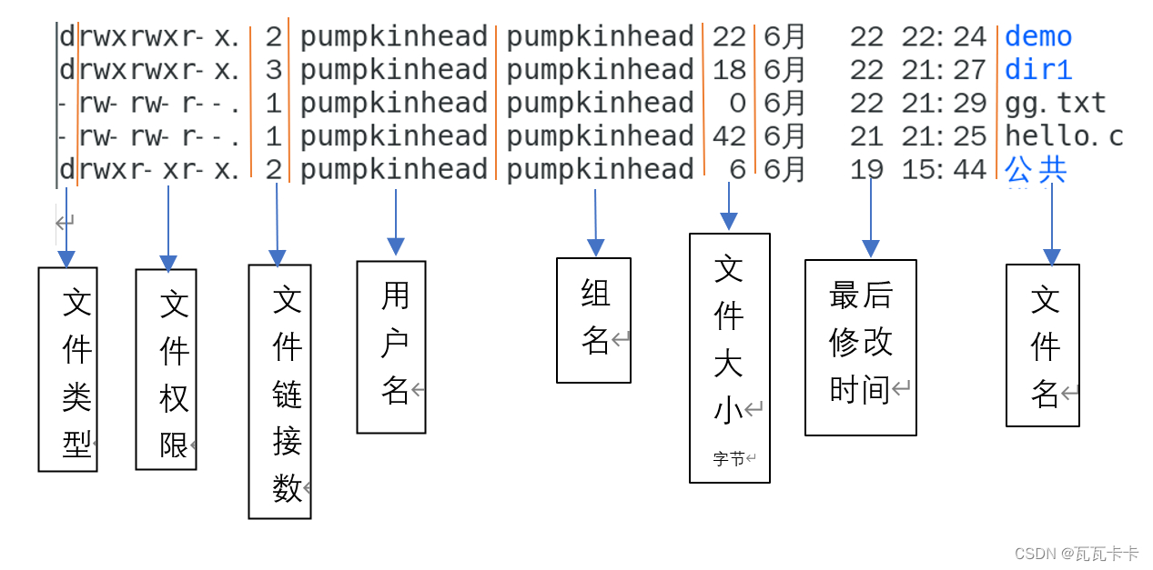 【Linux】文件(目录)的权限管理(rwx)_linux权限rwx-CSDN博客