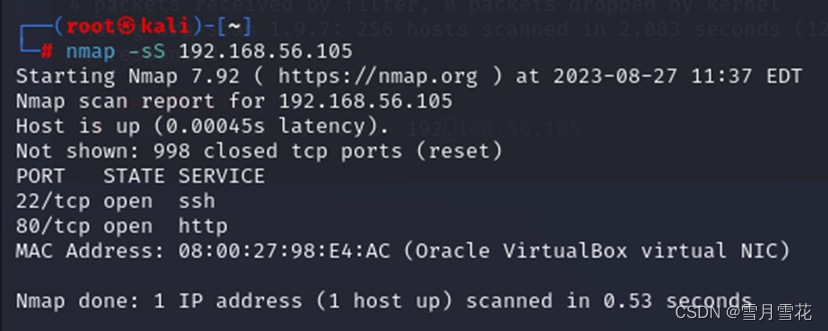 学习nmap的一些使用方法分享_nmap设置扫描速度-CSDN博客