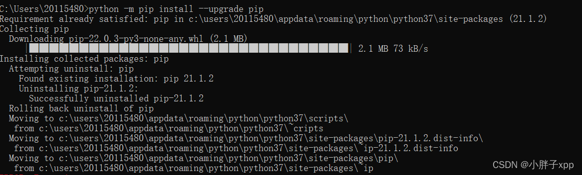 更新pip版本报错:valueerror Unable To Find Resource T64 Exe In Package Pip