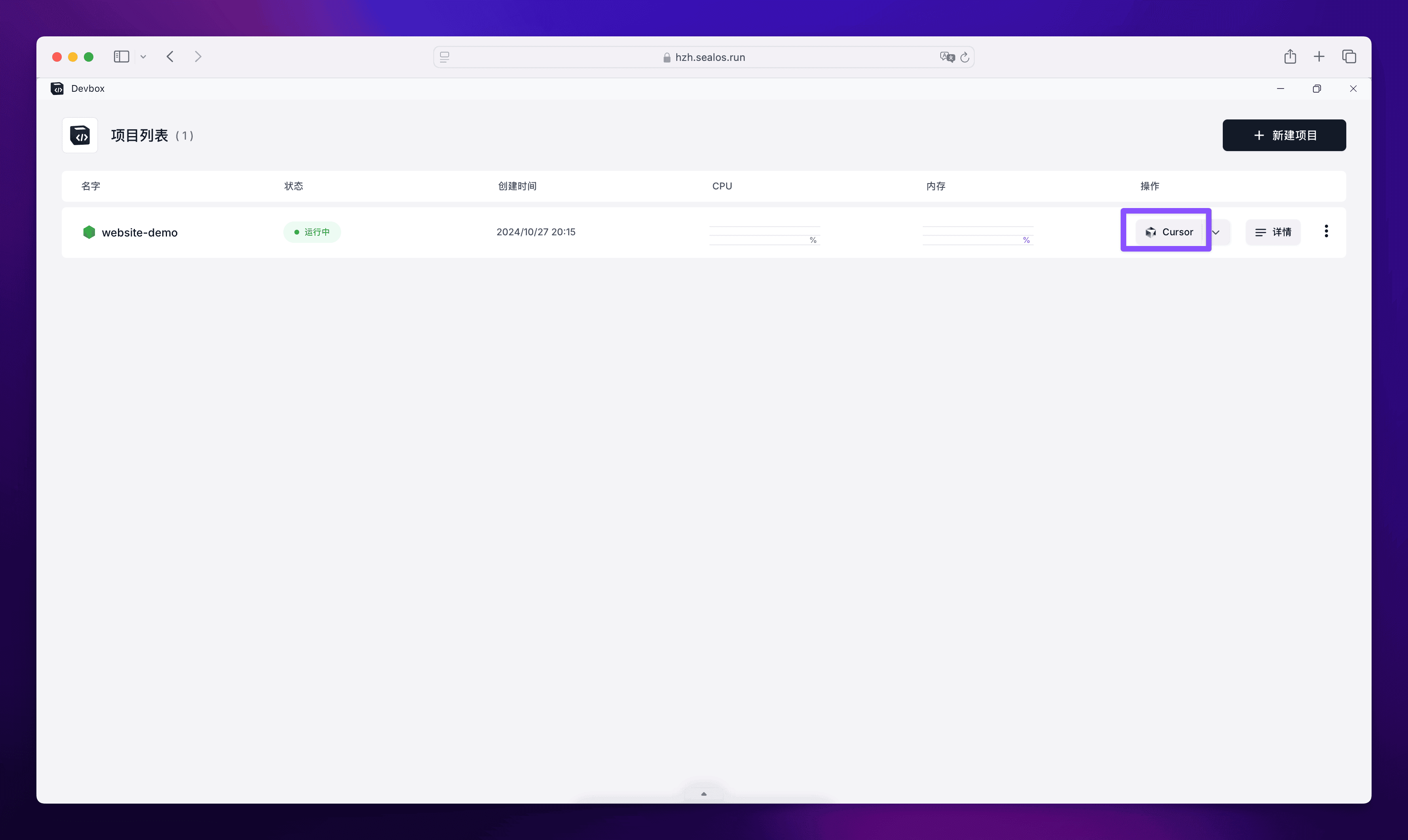 Sealos Devbox 使用教程：使用 Cursor 开发一个高仿苹果官网-CSDN博客