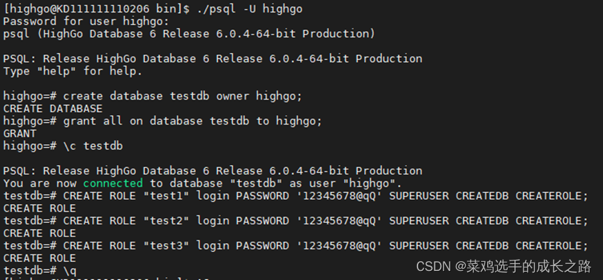 翰高数据库搭建及使用指导_连接highgo数据库-CSDN博客