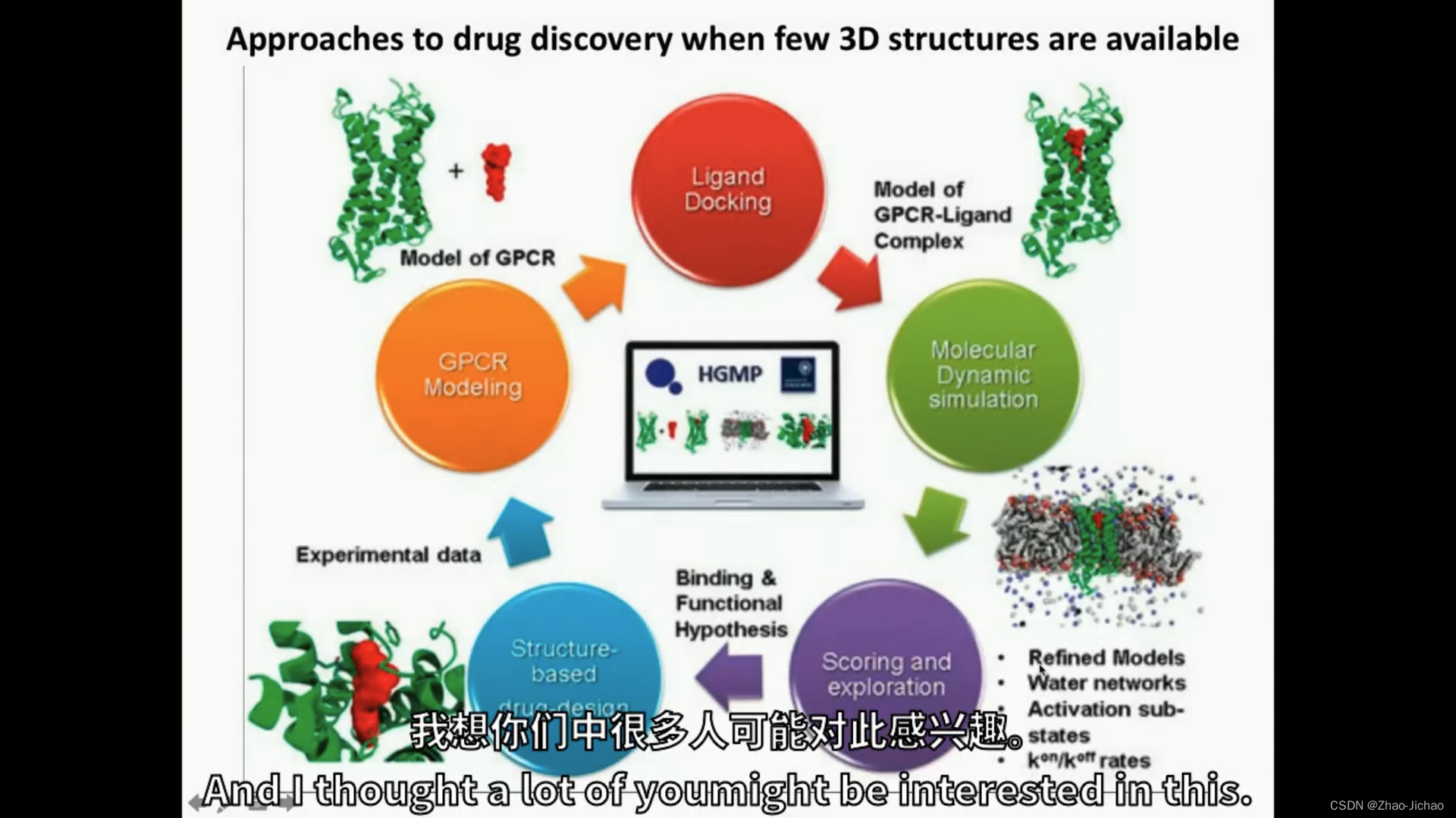 【Introductory Biology】Lecture 21 - Cell Signaling 2 - Examples 细胞信号2 ...