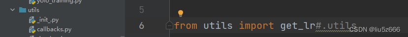 项目无法导入自建包 No module named ‘utils.utils‘； ‘utils‘ is not a package-CSDN博客