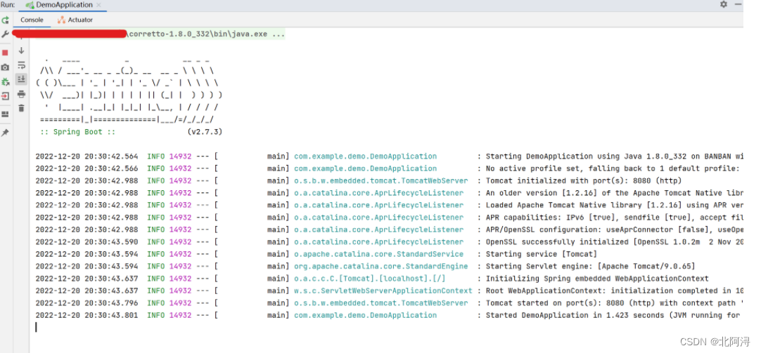 IDEA 里创建 SpringBoot 项目并运行 + 创建 webapp 文件 + 遇到一些问题_springboot webapp-CSDN博客