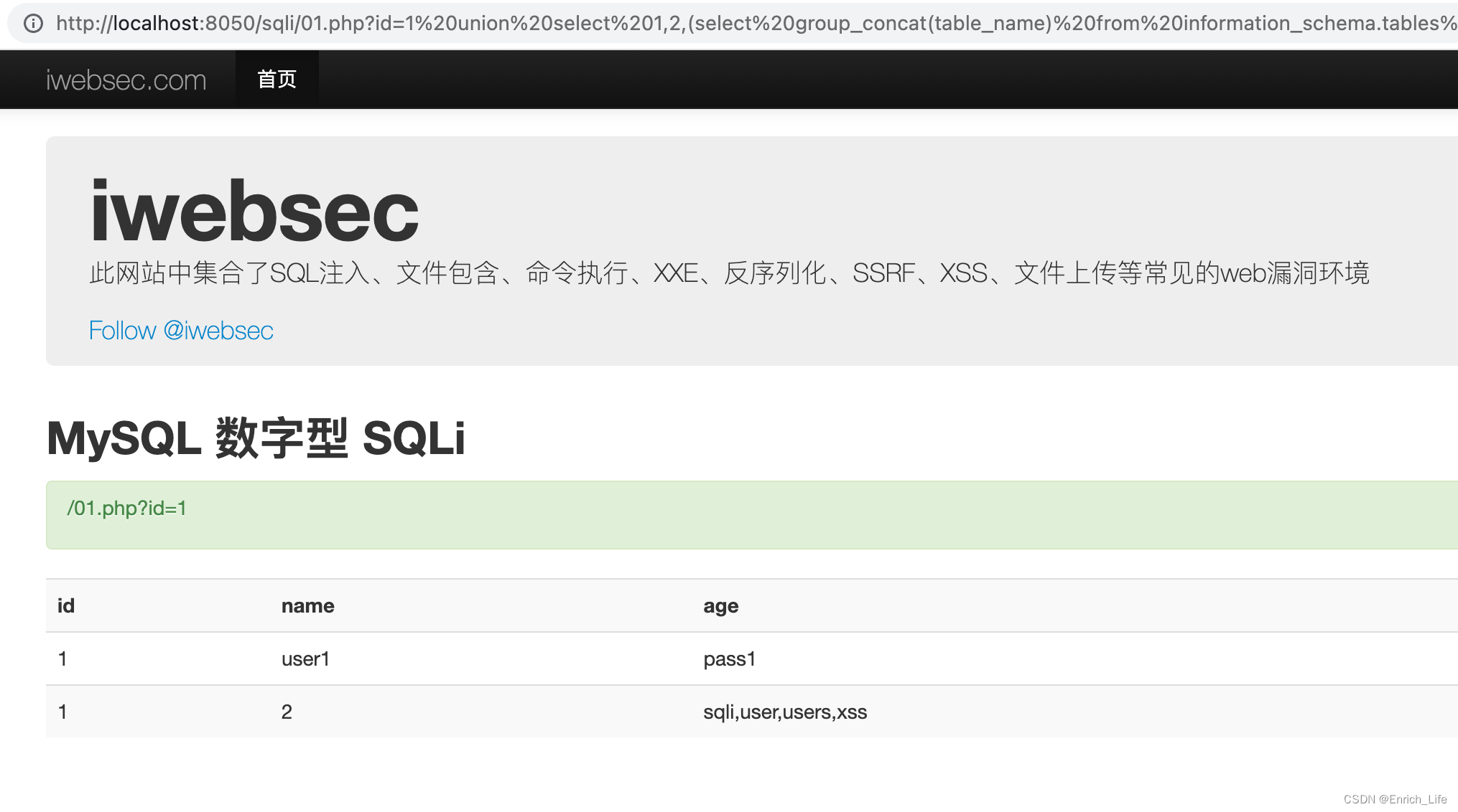 iwebsec sql数字型注入_iwebsec 数字型注入-CSDN博客