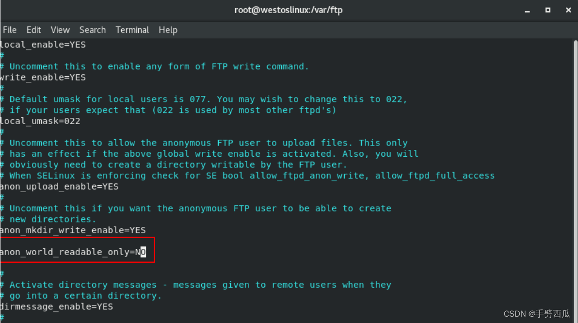 Vsftpd 服务的部署及优化_vsftpd部署_手劈西瓜的博客-CSDN博客