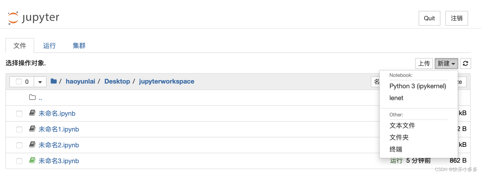 jupyter安装与使用-mac_jupter mac-CSDN博客