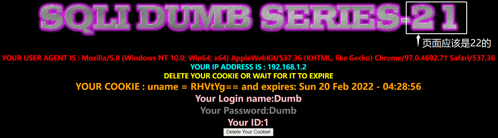 【SQL注入11】base64注入基础及实践（基于BurpSuite工具的Sqli-labs-less22靶机平台）-CSDN博客