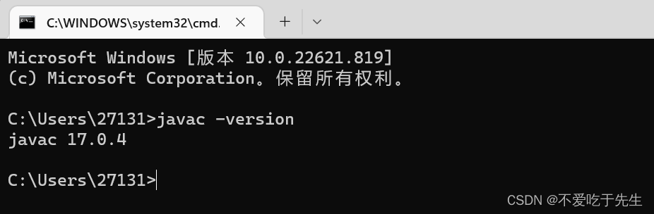 Java运行环境的搭建（以win11为例）_java win11-CSDN博客