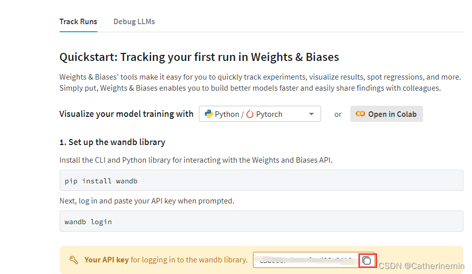 WandB的使用_python wandb login-CSDN博客