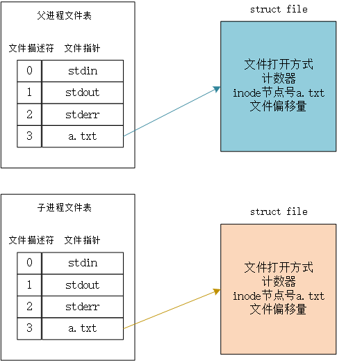 Linux——fork与文件操作fork 操文档 Csdn博客 