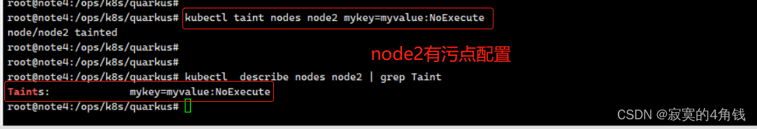 k8s-部署到master节点【污点（Taint） 与 容忍度（Toleration）】总结_给节点 打污点 命令-CSDN博客