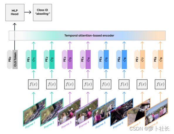 【ViViT】A Video Vision Transformer 用于视频数据特征提取的ViT详解_vit 视频检测-CSDN博客