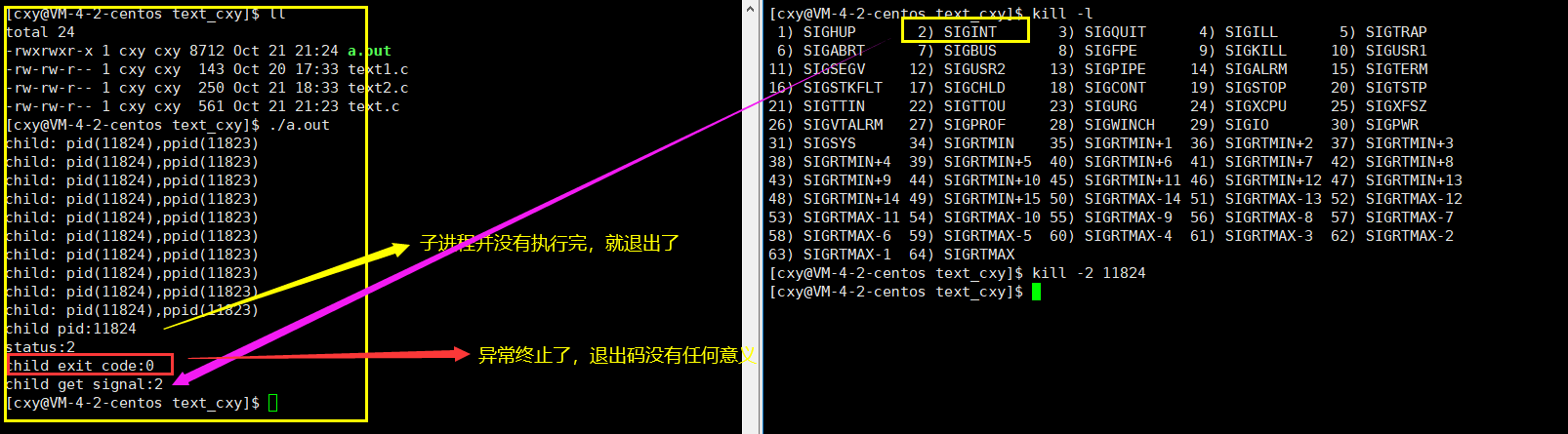 【Linux入门】：进程控制_linux unistd.h实现在哪里-CSDN博客