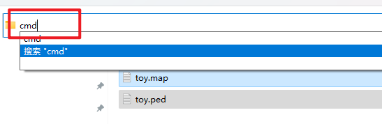 如何运行plink软件--三种方法-CSDN博客