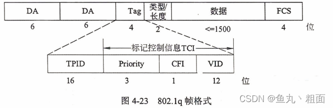 局域网 - 虚拟局域网 VLAN（802.1q）_802.1q vlan-CSDN博客